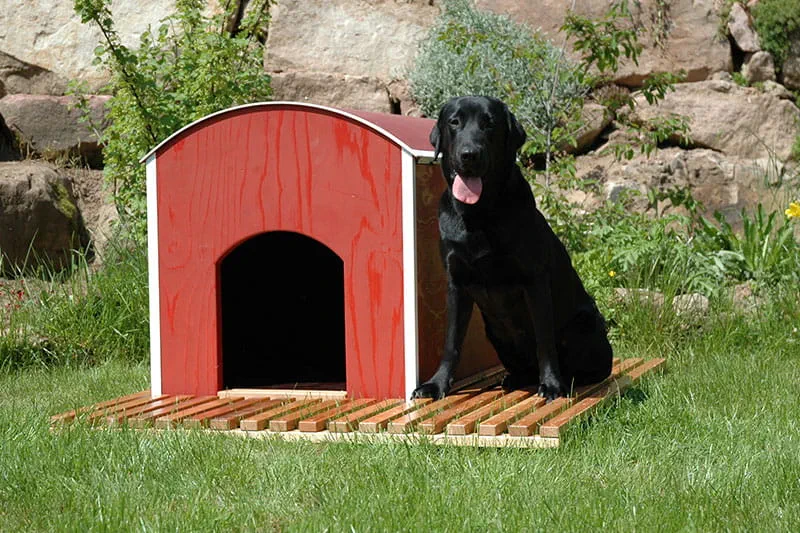 Rakenna koirankoppi | Koirankopin rakennusohjeet